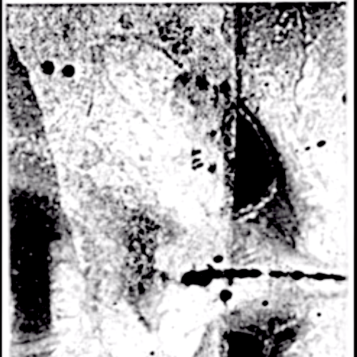 The First Thing I Ever Did Was Cry cassette - MAXIMUM ROCKNROLL