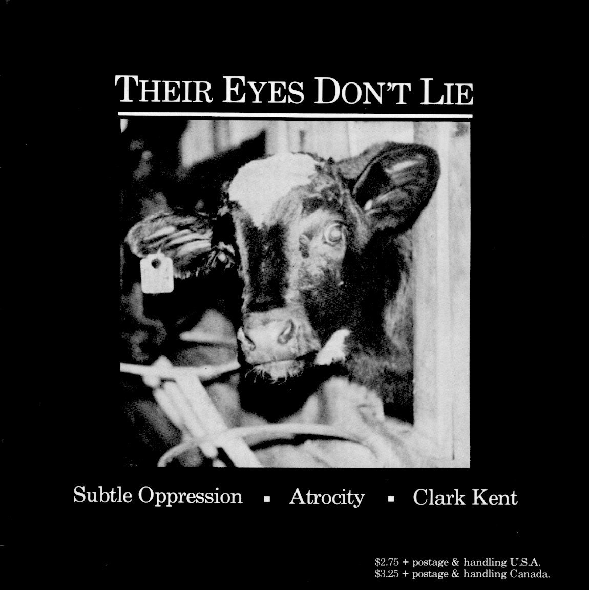 Their Eyes Don't Lie EP - MAXIMUM ROCKNROLL Their Eyes Don't Lie EP - MAXIMUM ROCKNROLL