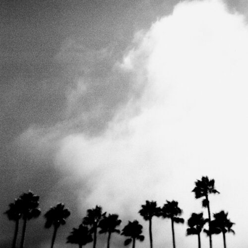 Richard Rose - MAXIMUM ROCKNROLL