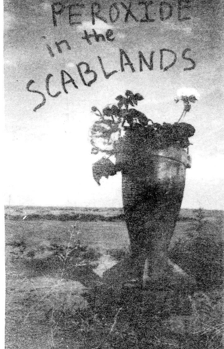Diddly Squat - MAXIMUM ROCKNROLL