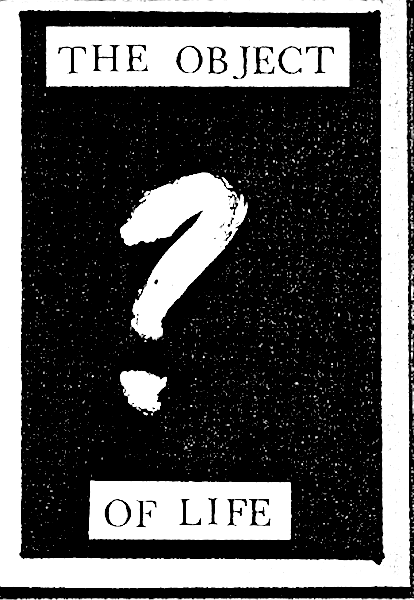 The Object of Life cassette - MAXIMUM ROCKNROLL