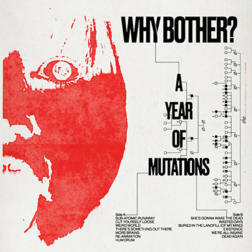Why Bother? - MAXIMUM ROCKNROLL