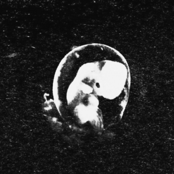 Home - MAXIMUM ROCKNROLL