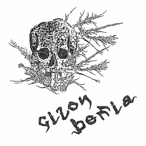 Reviews - MAXIMUM ROCKNROLL