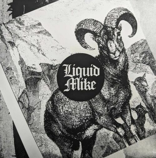 Reviews - MAXIMUM ROCKNROLL