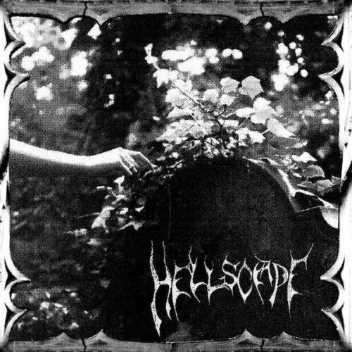 Reviews - MAXIMUM ROCKNROLL